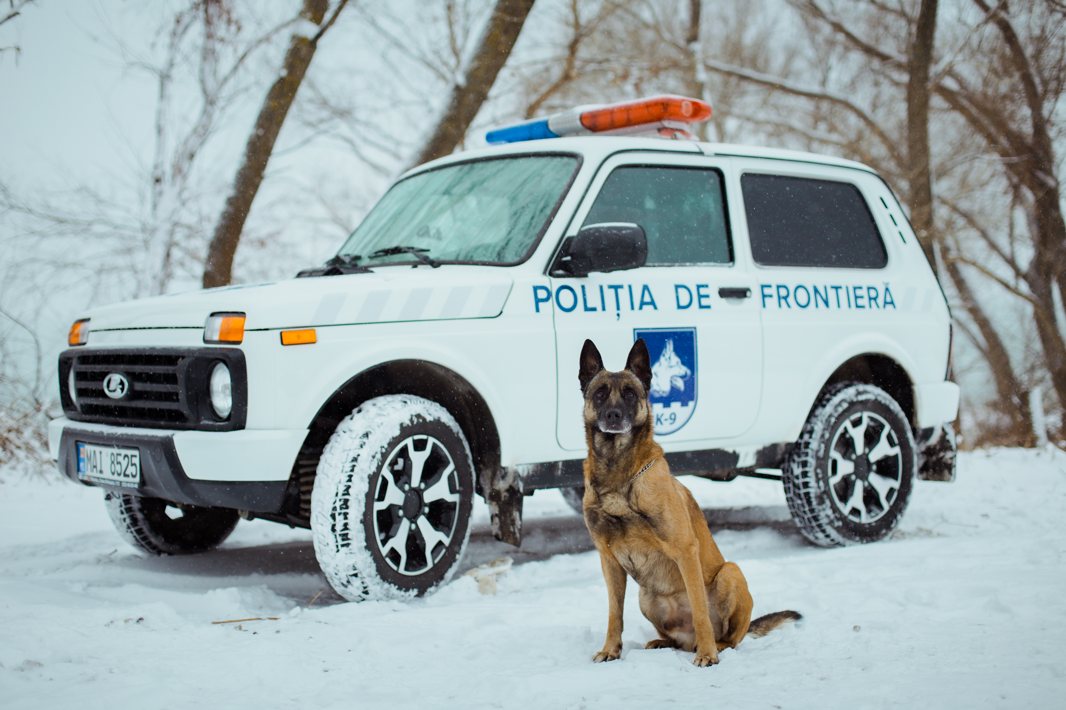 Situația la frontieră în 24 de ore (15 decembrie 2024) | POLIȚIA DE ...